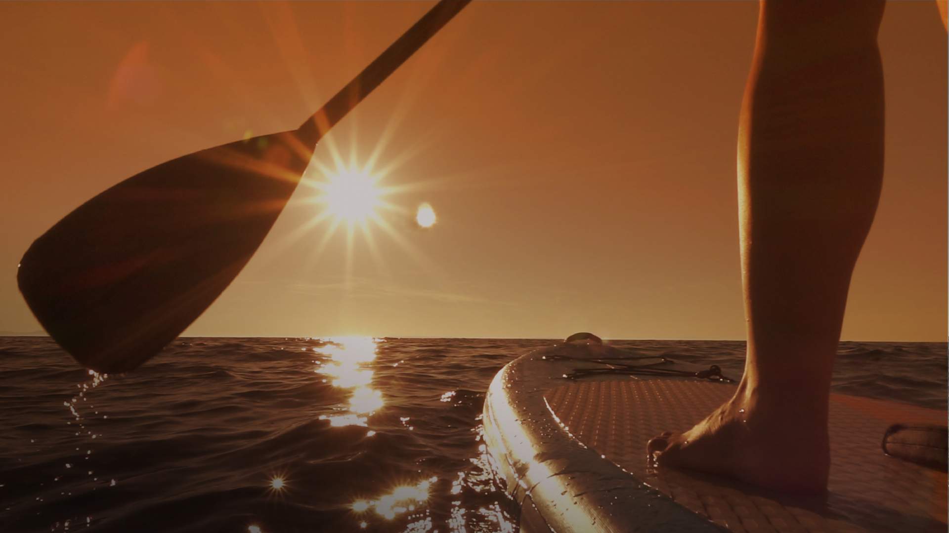 Talent ID | Recruitment and Human Resource Specialists